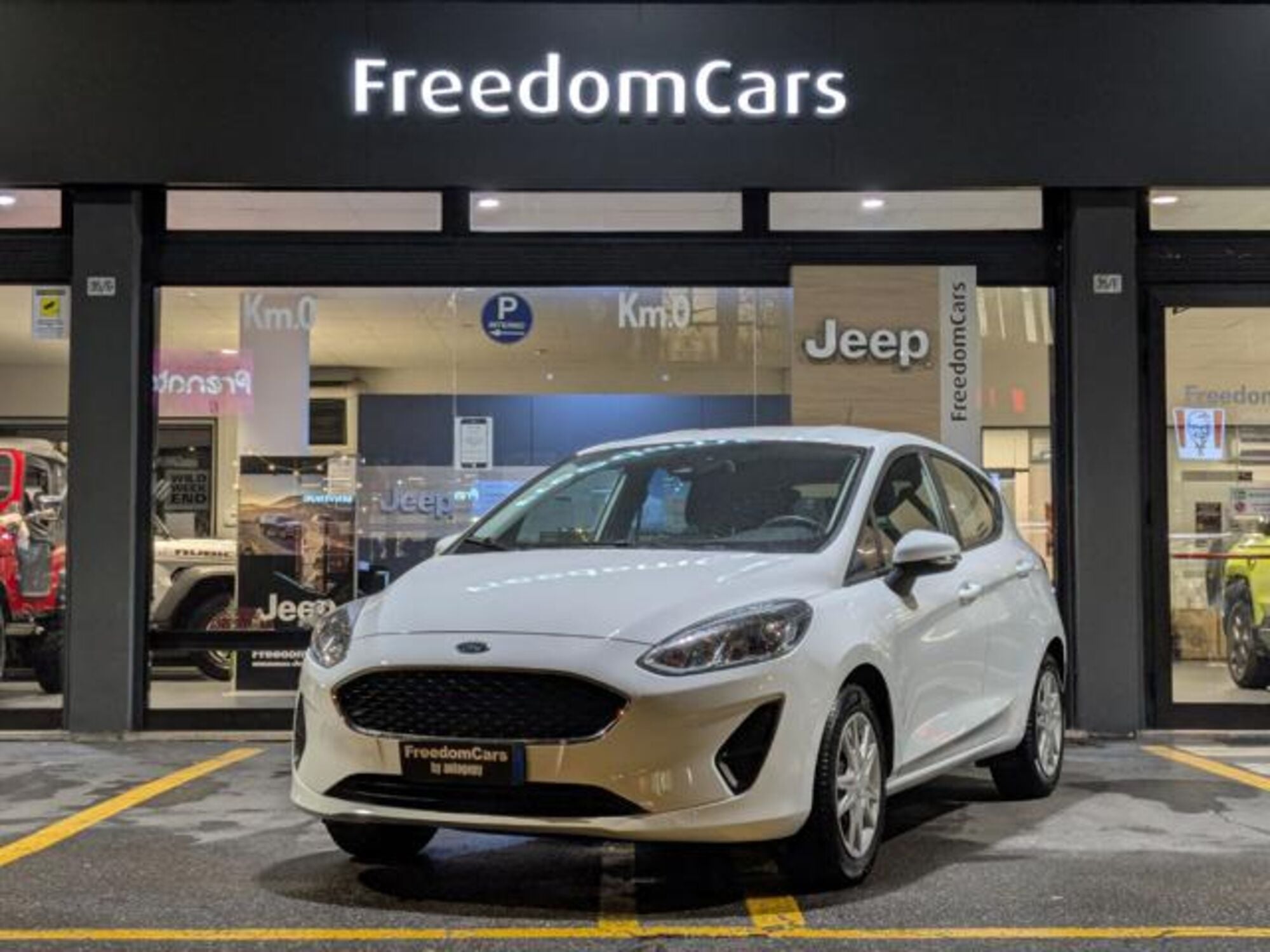 Vendo Ford Fiesta 1.1 75 CV GPL 5 porte Plus usata a Parma (codice ...