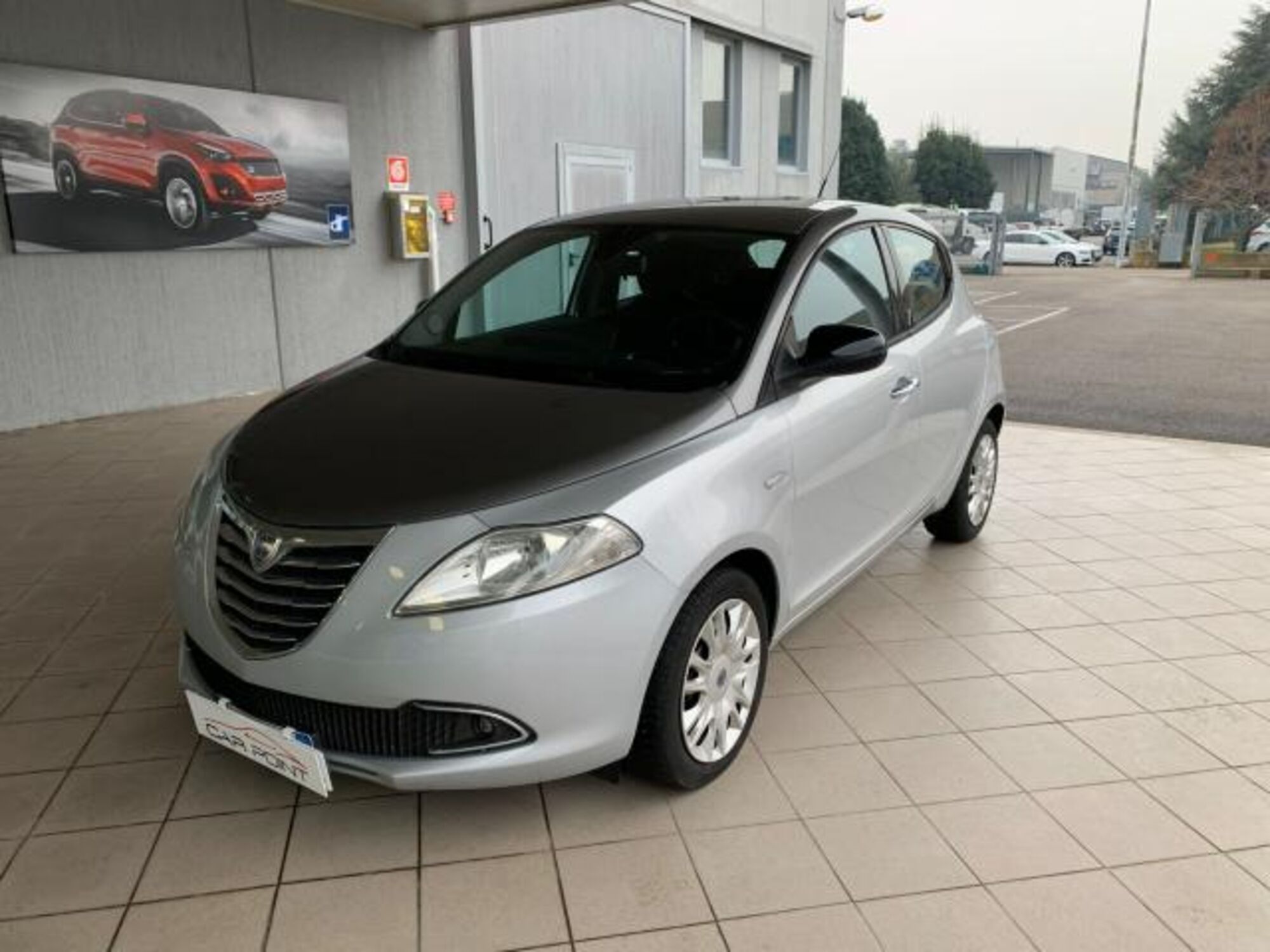 Vendo Lancia Ypsilon 0.9 TwinAir 85 CV 5 porte S&S DFN Platinum usata a ...