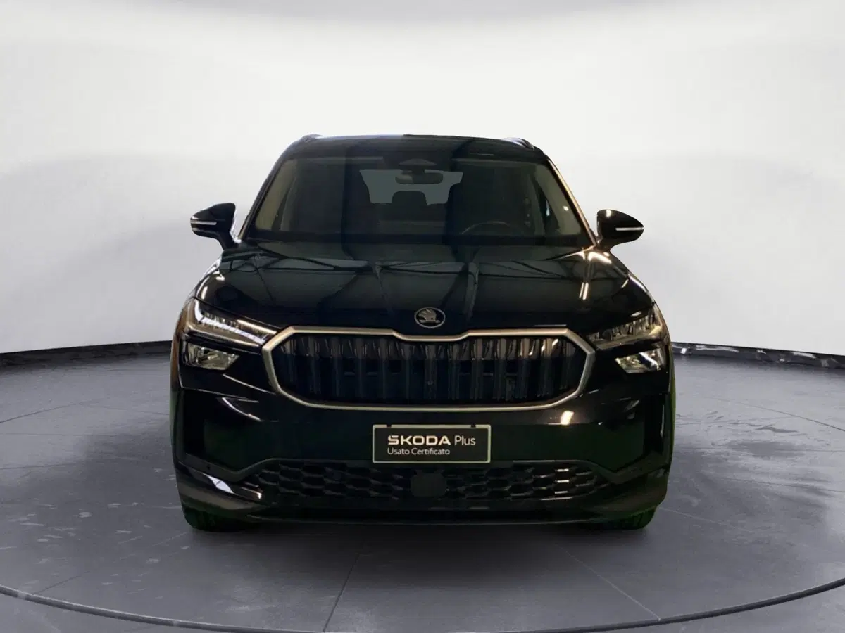 Vendo Skoda Kodiaq 2.0 TDI EVO SCR DSG Executive usata a Rizziconi ...