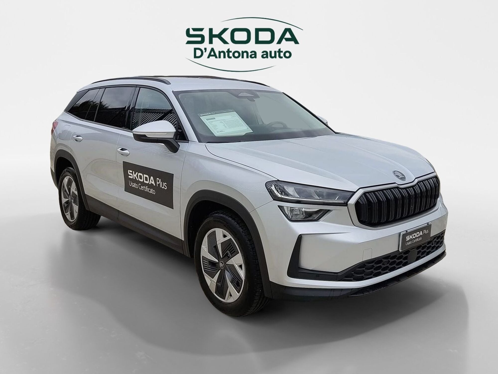 Vendo Skoda Kodiaq 2.0 TDI EVO SCR DSG Executive usata a Taranto ...