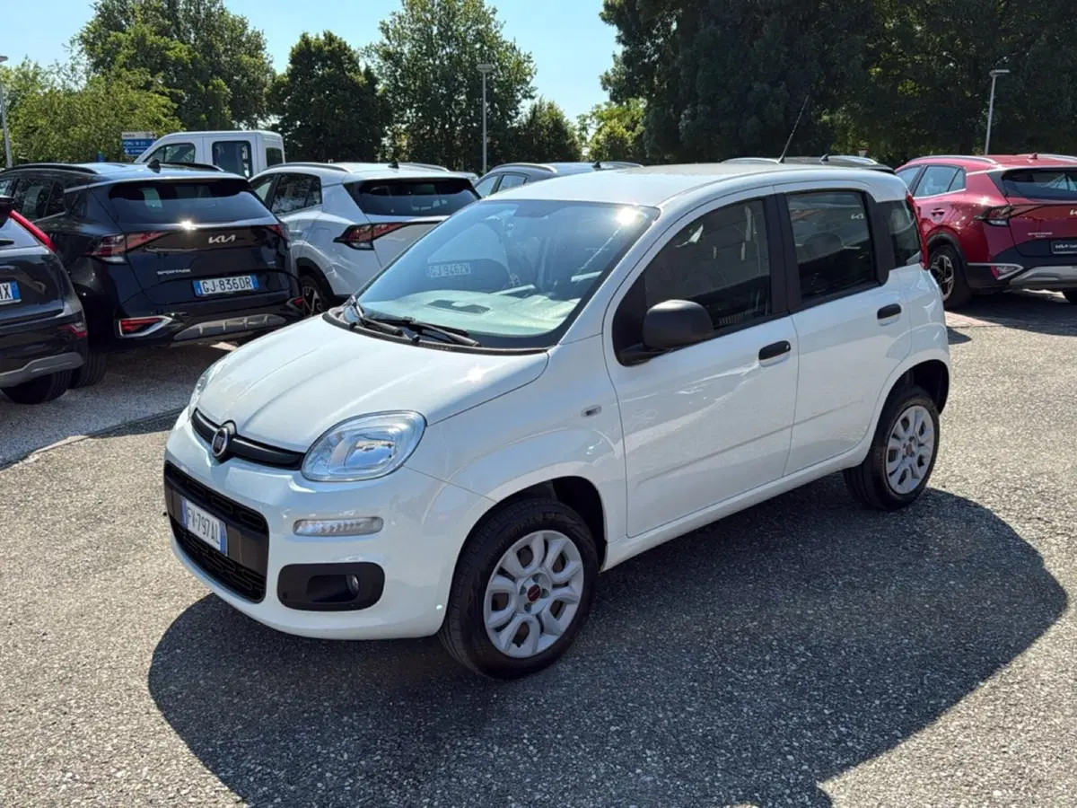 Vendo Fiat Panda 0.9 TwinAir Turbo Natural Power Easy usata a Faenza ...