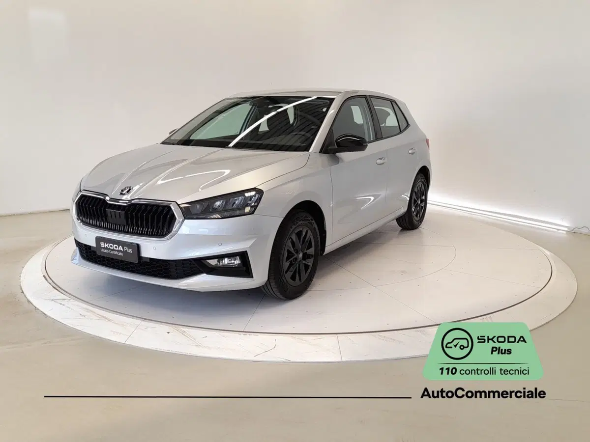 Vendo Skoda Fabia 1.0 MPI EVO 80 CV Style usata a Bologna (codice ...