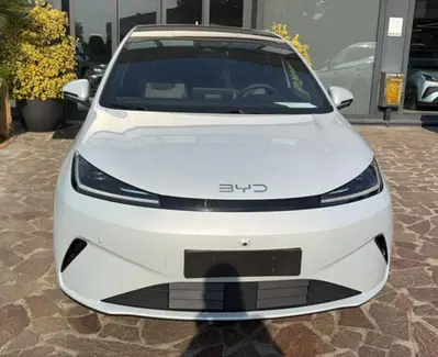 Byd Dolphin G DM-i nuove e km 0 - Automoto.it